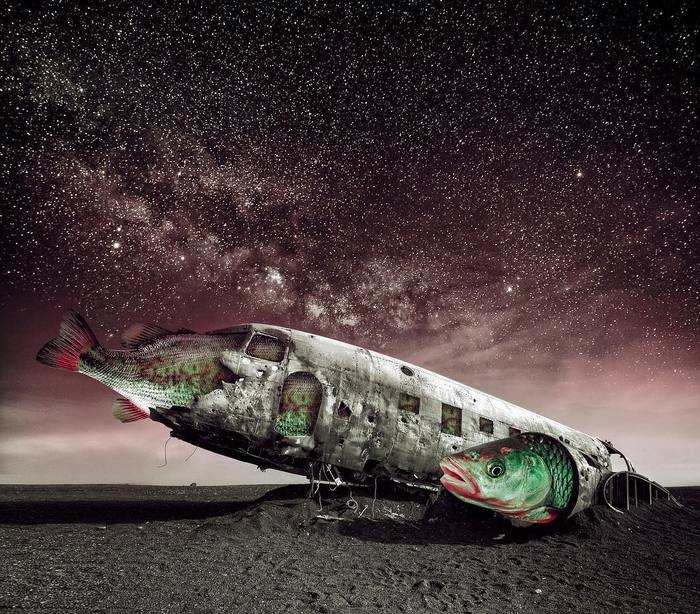 Surreal Digital Collages by Hüseyin Şahin | The Creative Blog