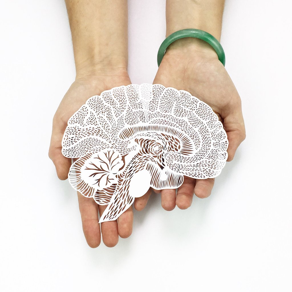 Intricate Hand Cut Anatomical Paper Illustrations by Ali Harrison | The ...