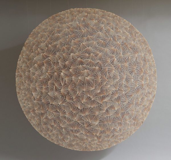Mesmerizing Seashell Sculptures by Rowan Mersh | The Creative Blog