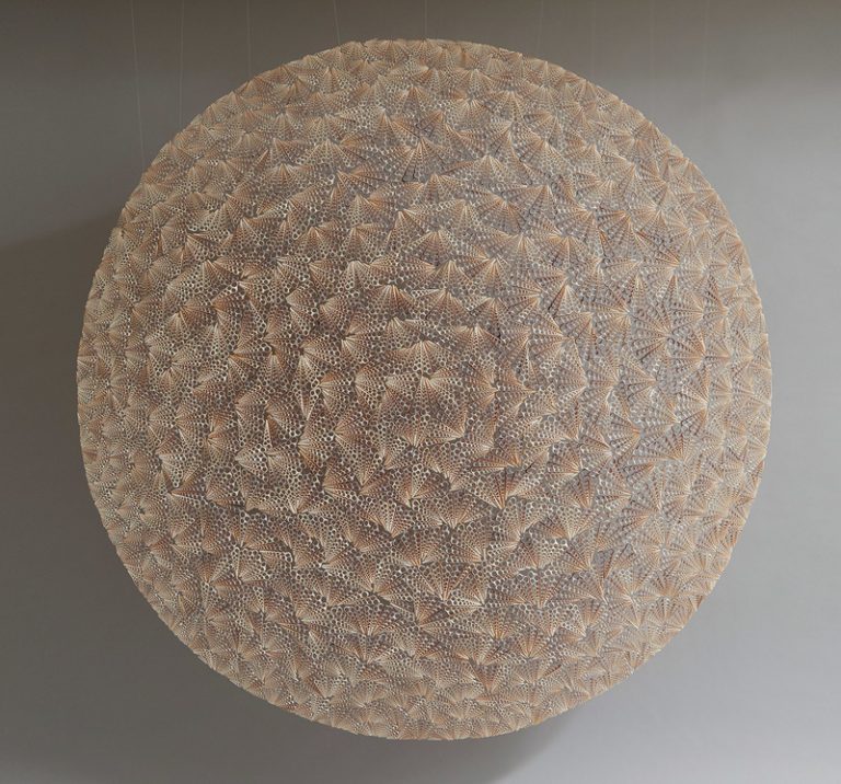 Mesmerizing Seashell Sculptures by Rowan Mersh | The Creative Blog