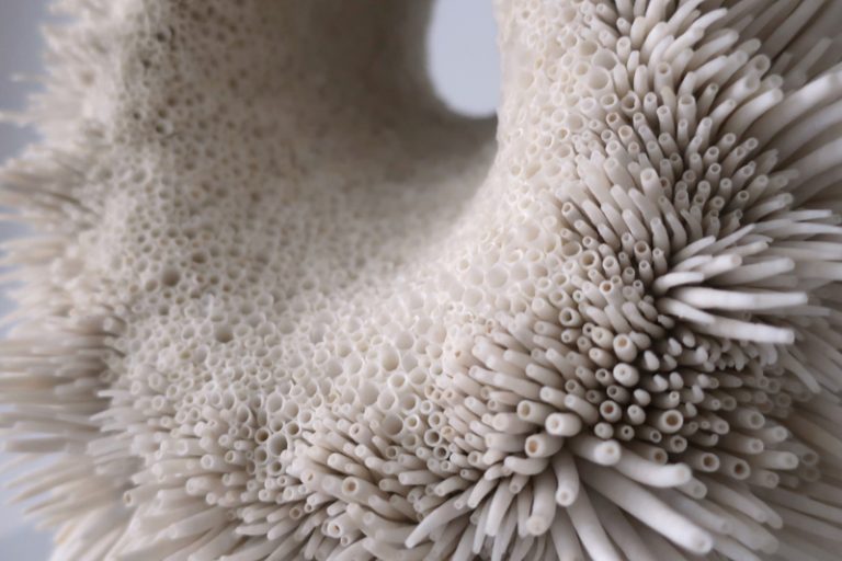 Mesmerizing Seashell Sculptures by Rowan Mersh | The Creative Blog