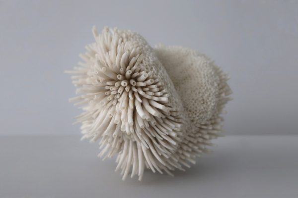 Mesmerizing Seashell Sculptures by Rowan Mersh | The Creative Blog