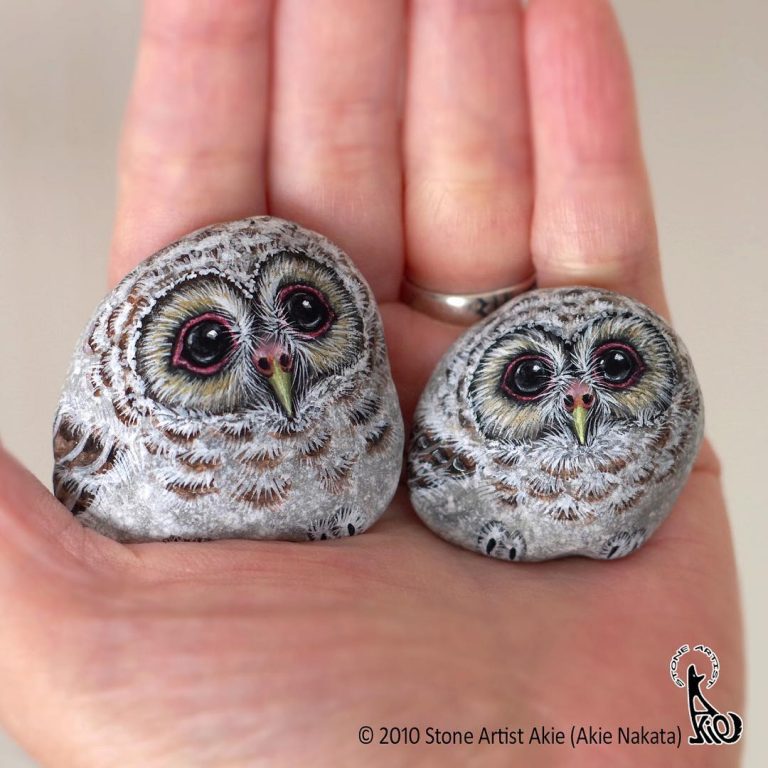 Adorable Animal Stone Paintings by Akie Nakata | The Creative Blog