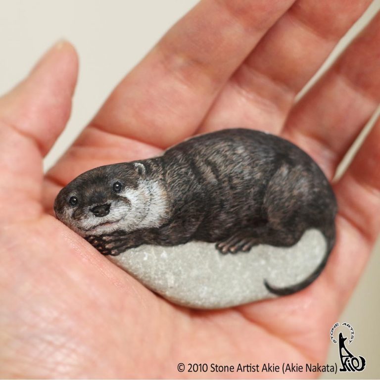 Adorable Animal Stone Paintings by Akie Nakata | The Creative Blog