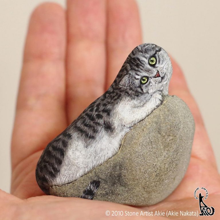 Adorable Animal Stone Paintings by Akie Nakata | The Creative Blog